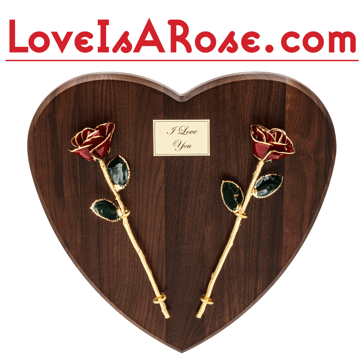 Roses on Wall Displays: Love Is A Rose