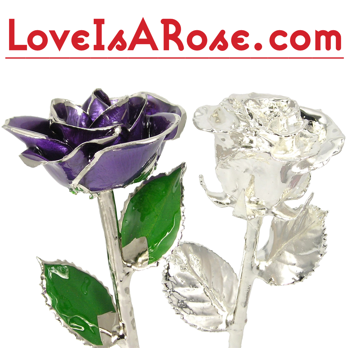 Sterling Silver Roses: Real Silver Roses That Last Forever
